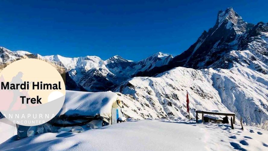 Mardi Himal Trek - Difficulties, Costs, Preperation, Itinerary ...